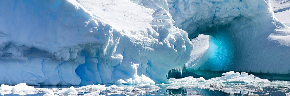10 questions with Sara Macefield | ROL Cruise Blog