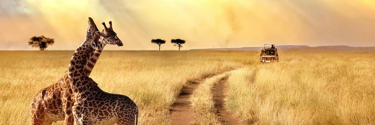 Benefits of a tailormade package | ROL Cruise Blog