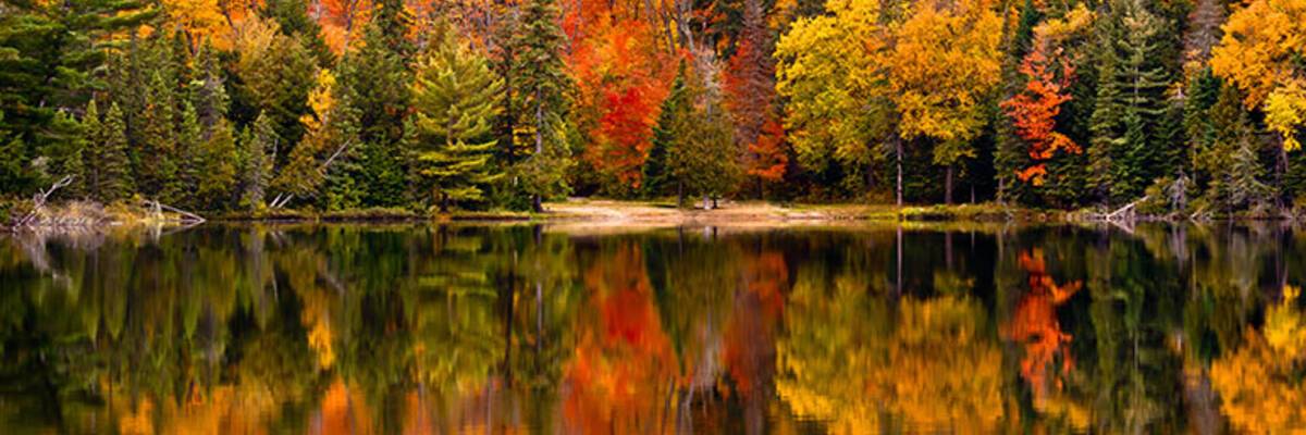 Canada in the fall: The best places to visit | ROL Cruise Blog