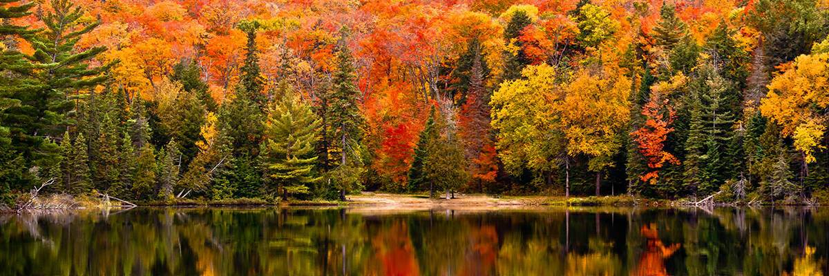 Canada in the fall: The best places to visit | ROL Cruise Blog