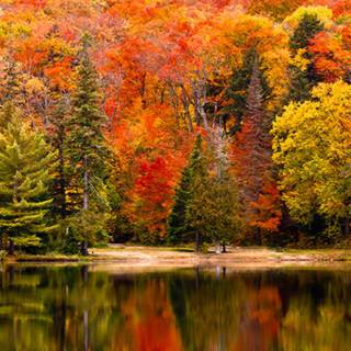 Canada in the fall: The best places to visit | ROL Cruise Blog