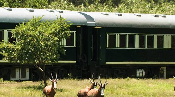 Celebrating 35 years of Rovos Rail | ROL Cruise Blog