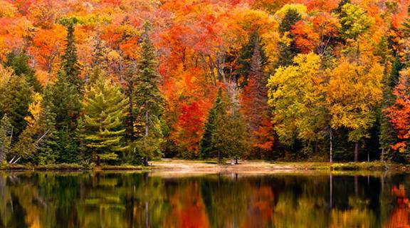 Canada in the fall: The best places to visit | ROL Cruise Blog