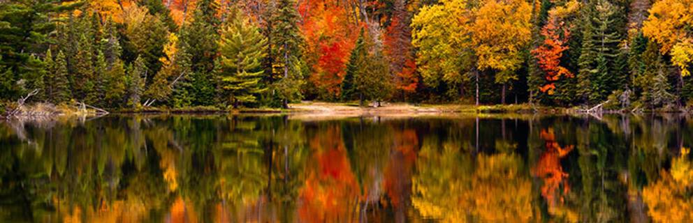 Canada in the fall: The best places to visit | ROL Cruise Blog