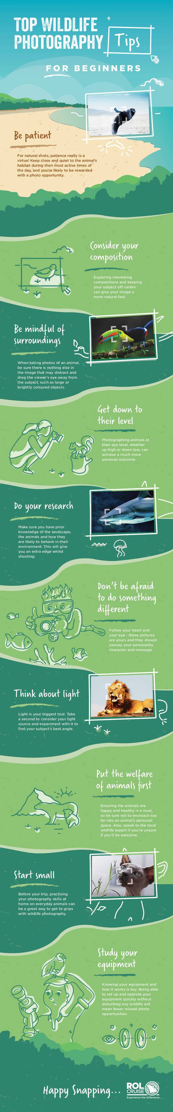 Top wildlife photography tips for beginners | ROL Cruise