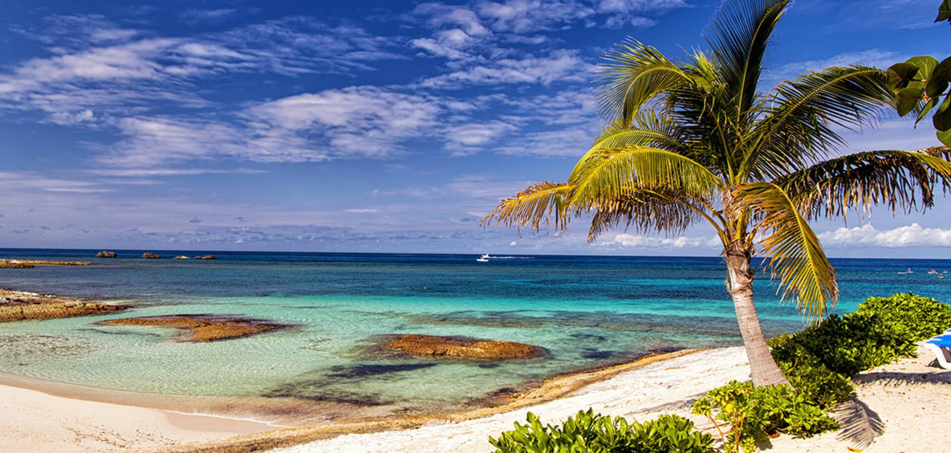 Cruises to Great Stirrup Cay 2021/22 | Great Stirrup Cay Cruises | ROL ...