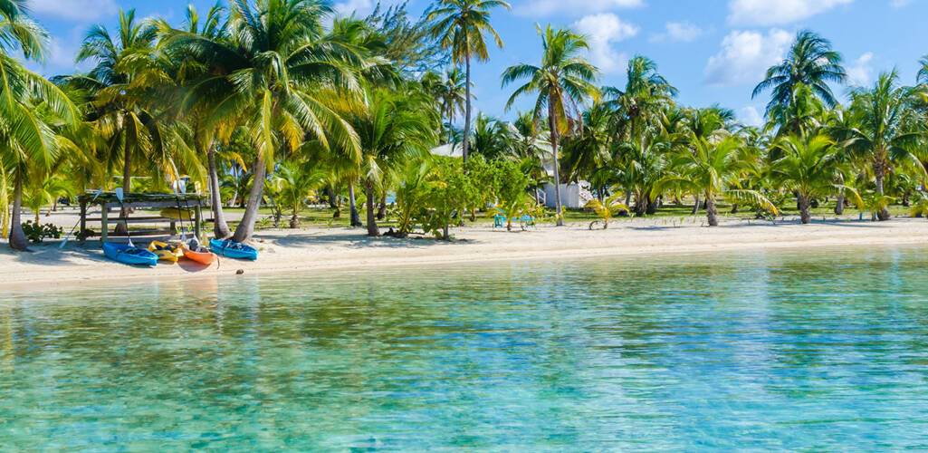 2028 No-Fly Mayan Ruins & Island Adventures (44 nights) | 06 Jan 2028 ...