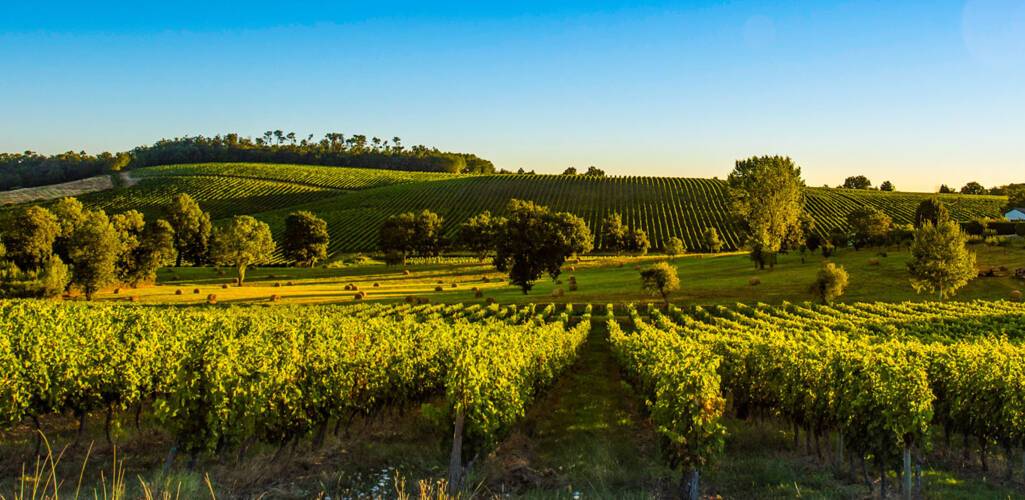 Brilliant Bordeaux - Bordeaux to Bordeaux (7 nights) | 22 Aug 2027 | S ...