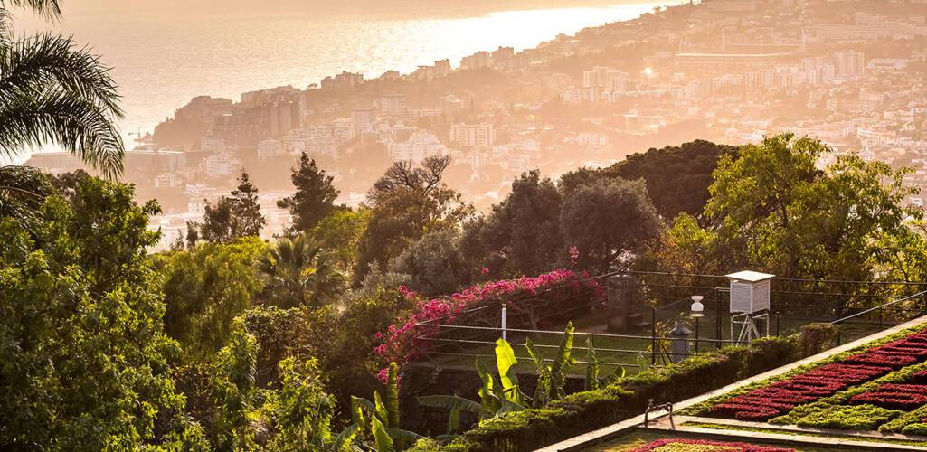 Madeira, Canaries & Morocco (12 nights) | 25 Feb 2028 | Celebrity ...