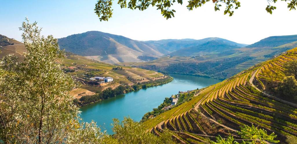Douro Discovery - Porto Return (7 nights) | 09 Apr 2026 | MS Estrela ...