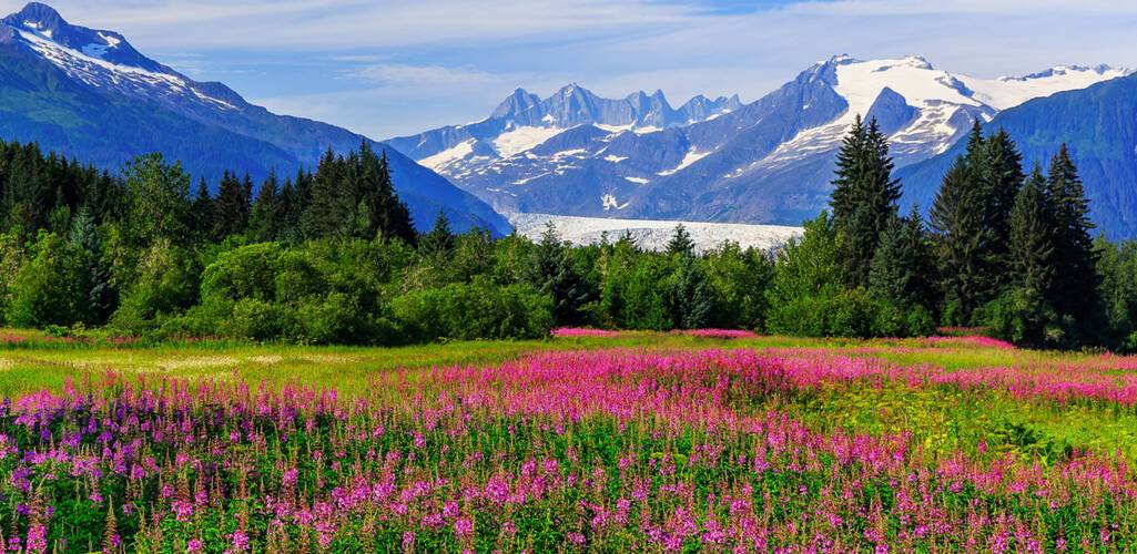 Voyage of the Glaciers with Glacier Bay (Southbound) (7 nights) | 04 ...