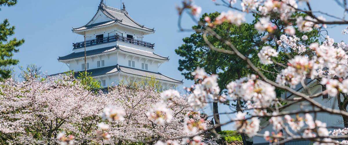 Japan Explorer Cherry Blossoms (12 nights) | 17 Mar 2027 | Sapphire ...
