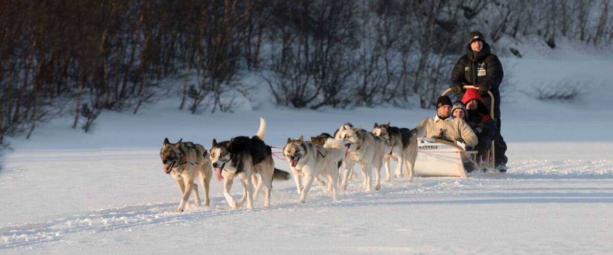 2026 Northern Lights, Finland to Norway Ft. Lapland (14 nights) | 21 ...