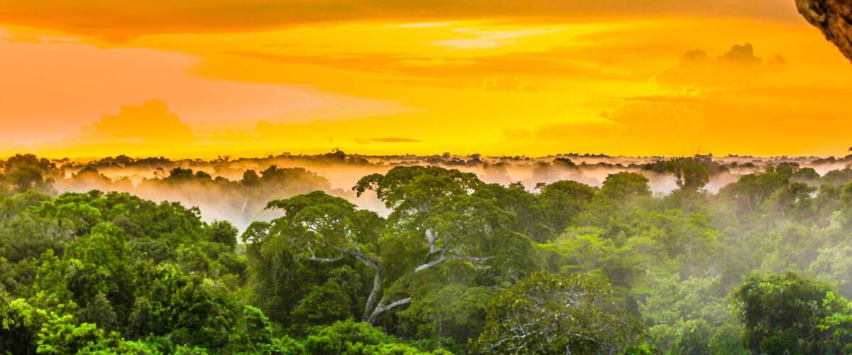 Legendary Amazon Explorer (28 nights) | 06 Jan 2028 | Zuiderdam ...