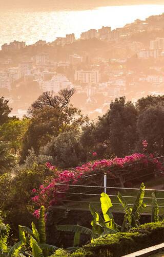 Madeira, Canaries & Morocco (12 nights) | 25 Feb 2028 | Celebrity ...