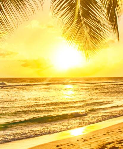 Western Caribbean (12 nights) | 22 Mar 2026 | Queen Elizabeth | 2141554 | Voyage Q609