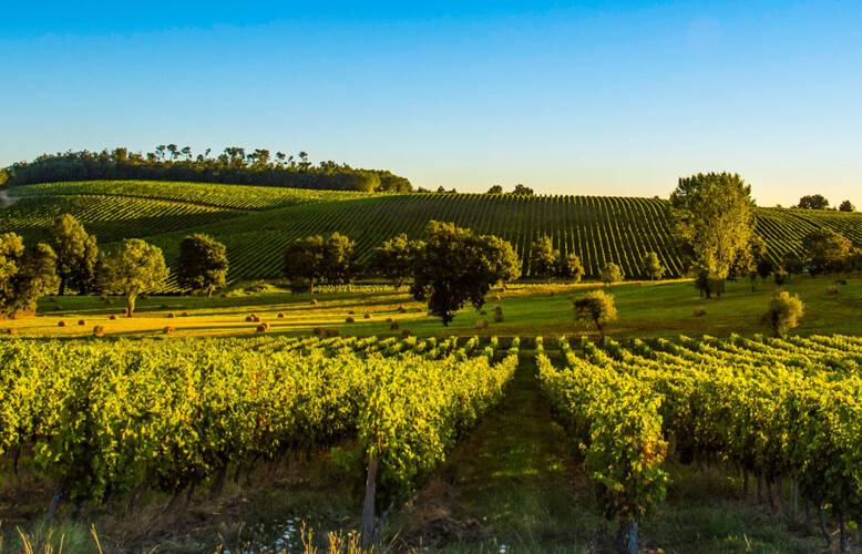 Brilliant Bordeaux - Bordeaux to Bordeaux (7 nights) | 22 Aug 2027 | S ...