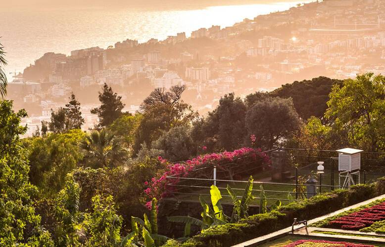 Madeira, Canaries & Morocco (12 nights) | 25 Feb 2028 | Celebrity ...