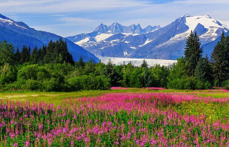 Alaska (7 nights) | 20 Aug 2026 | Queen Elizabeth | 2205804 | Voyage Q623