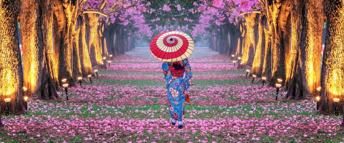 2027 Luxury 5★ Best of Japan & Cherry Blossom Season | ROL Cruise
