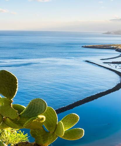 2026 No-Fly All-Inclusive Promotion | ROL Cruise