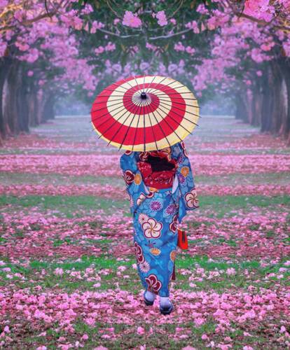 2027 Luxury 5★ Best of Japan & Cherry Blossom Season | ROL Cruise