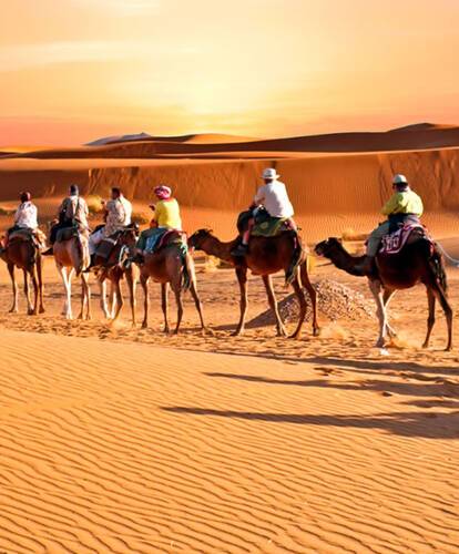 Morocco Cruises 2026, 2027 & 2028 | ROL Cruise