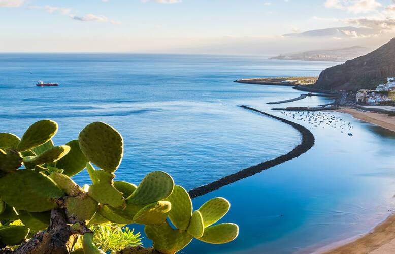 2026 No-Fly All-Inclusive Promotion | ROL Cruise