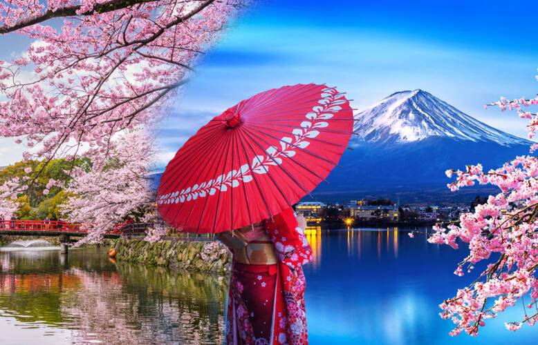2028 Luxury Cherry Blossom Season in Japan | ROL Cruise