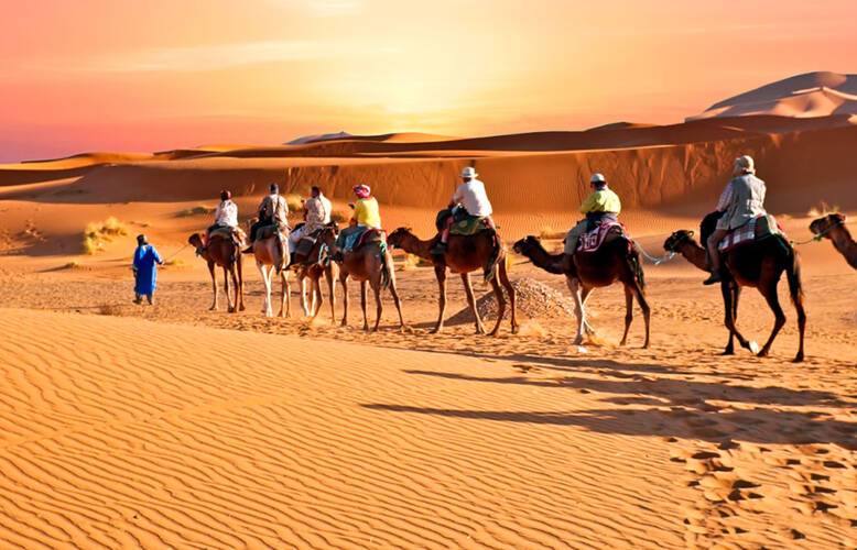 Morocco Cruises 2026, 2027 & 2028 | ROL Cruise