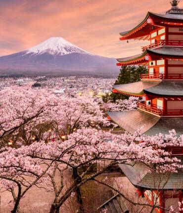 Top Cruise Deals 2024 & 2025 | Cruise Offers | ROL Cruise