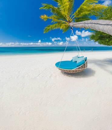 Cruise Deals 2023 & 2024 | Cruise Offers | ROL Cruise