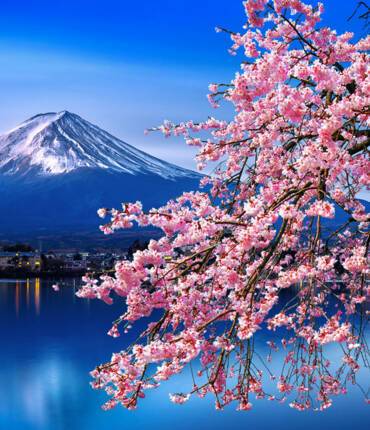 Top Cruise Deals 2024 & 2025 | Cruise Offers | ROL Cruise