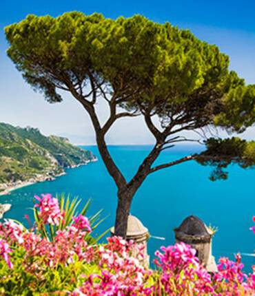 Top Cruise Deals 2024 & 2025 | Cruise Offers | ROL Cruise