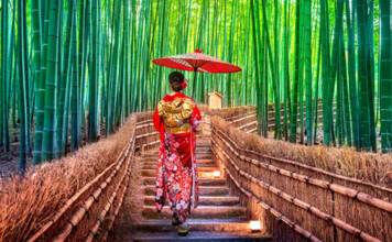 Cruise Deals 2023/24 | Cruise Holidays | ROL Cruise